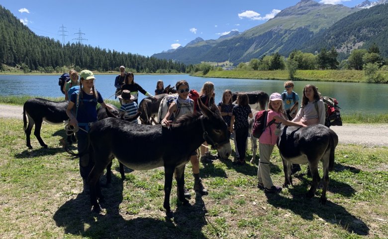 Linard Bardill • Liedermacher, Autor und Geschichtenerzähler